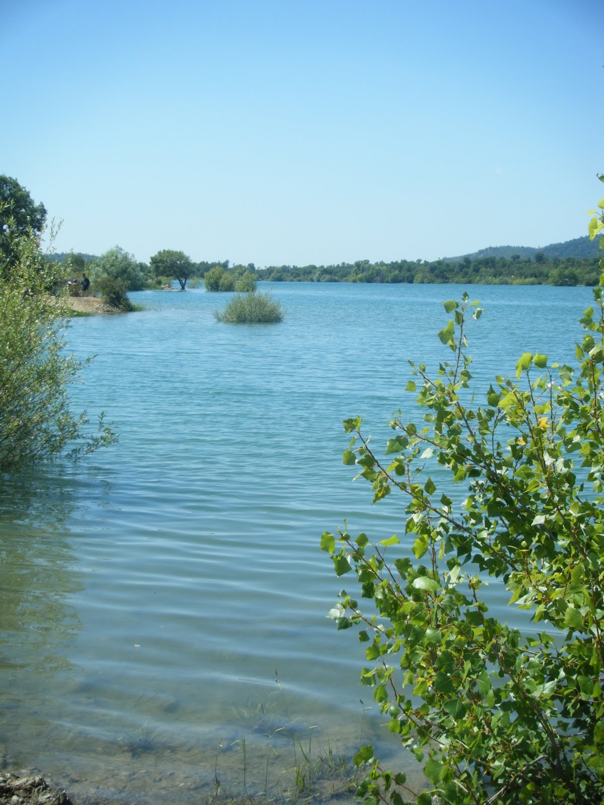 CHOPPED WORM: Lac Saint Cassien 2010