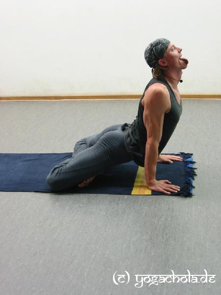 Simhasana Lion ~ World Yoga Suda