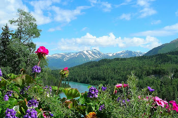 Homer Alaska Real Estate: 66584 Diamond Ridge Road, Homer, ALASKA 99603