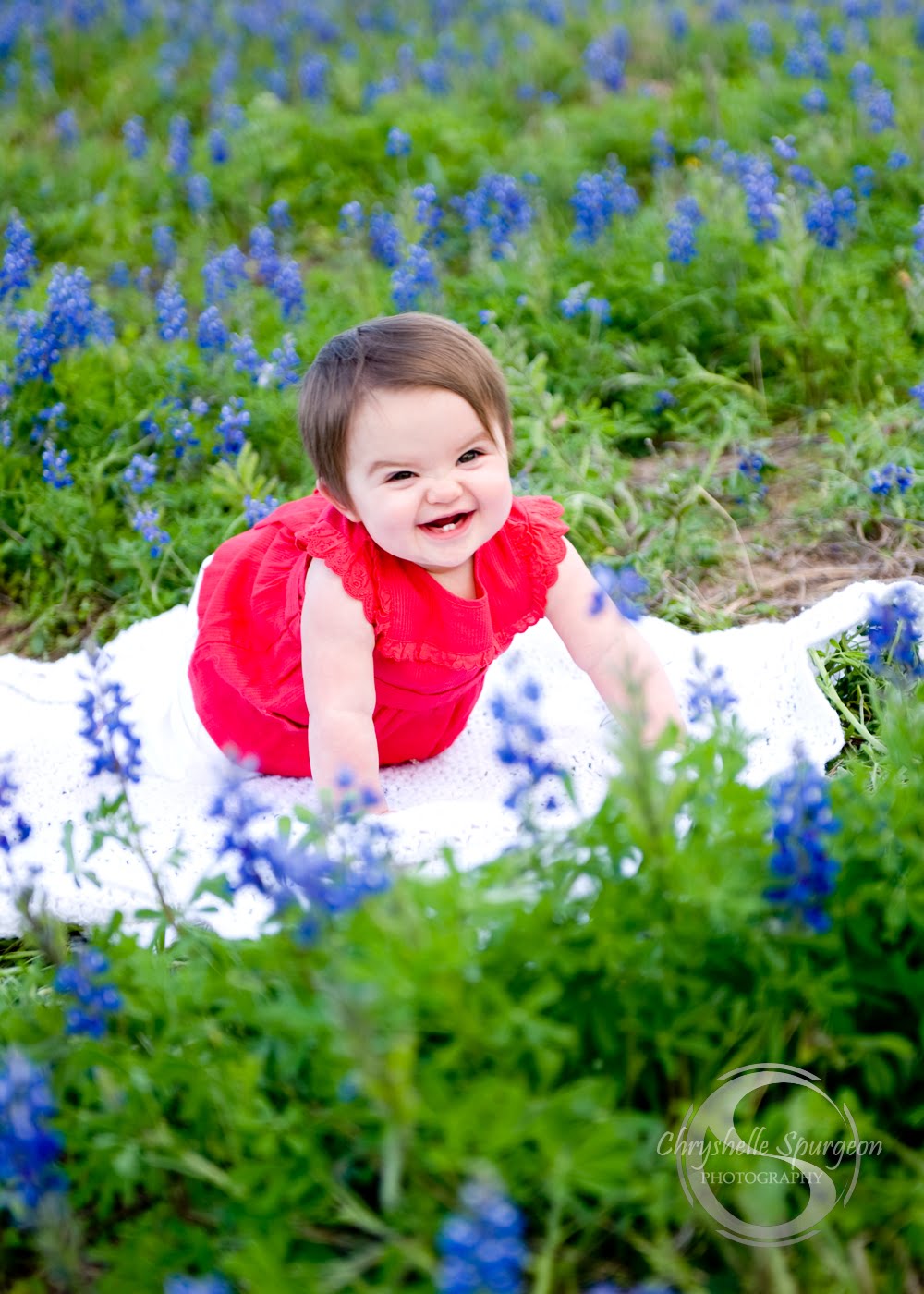 Chryshelle Spurgeon Photography: Bluebonnet Preview #2 {Custom ...