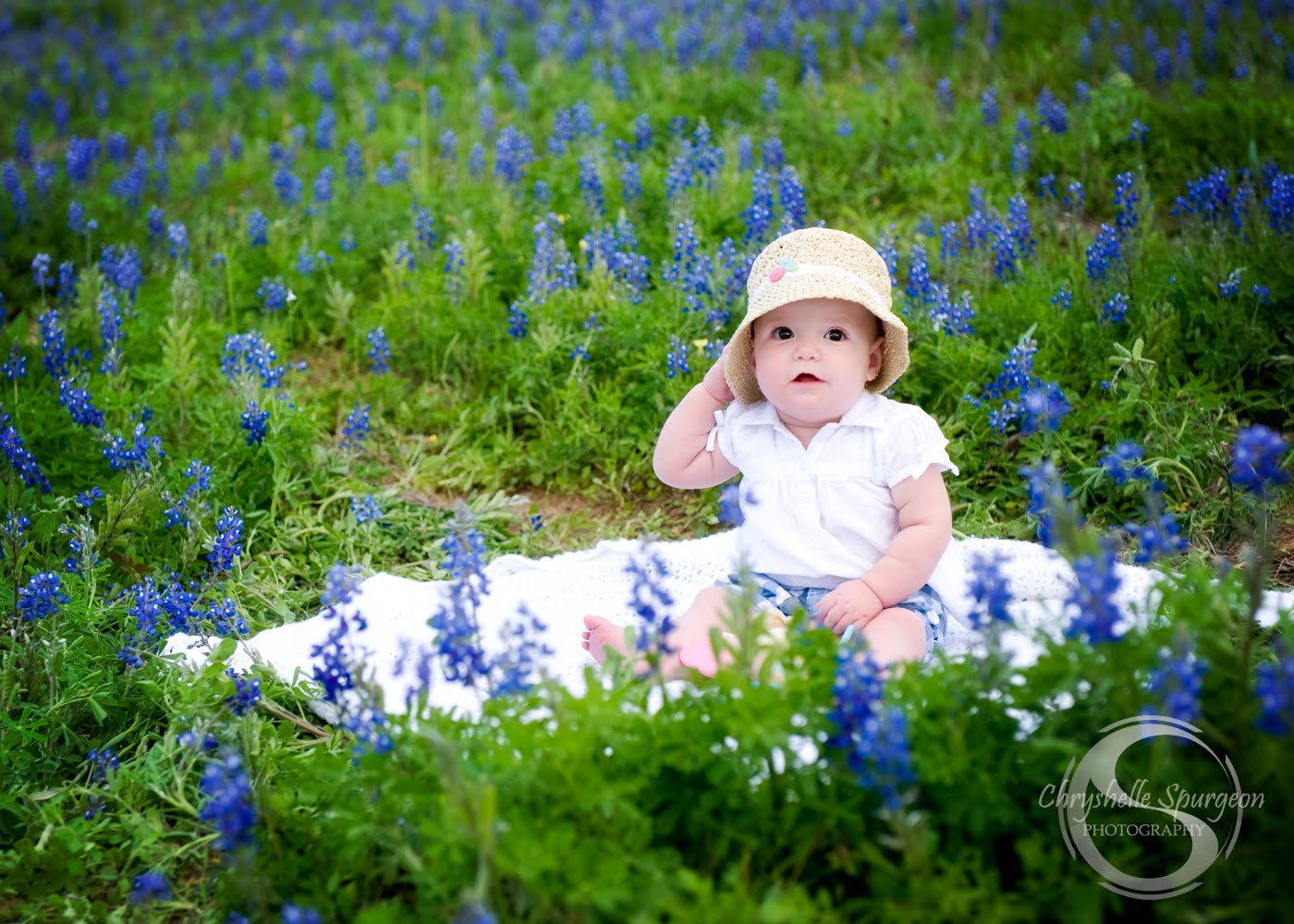 Chryshelle Spurgeon Photography: Bluebonnet Preview #4 {Custom ...