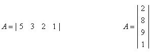 Algebra Lineal y Programacion Lineal: Algebra de Matrices