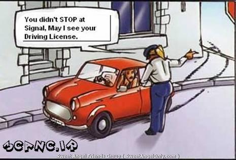 Funny Picture Jokes-Driving License ~ Sweet Angel