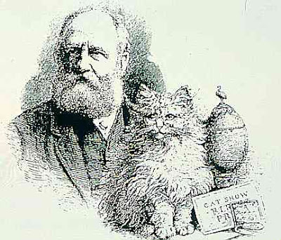 Kitty Cat Meow: The Show Cat - Cat Show