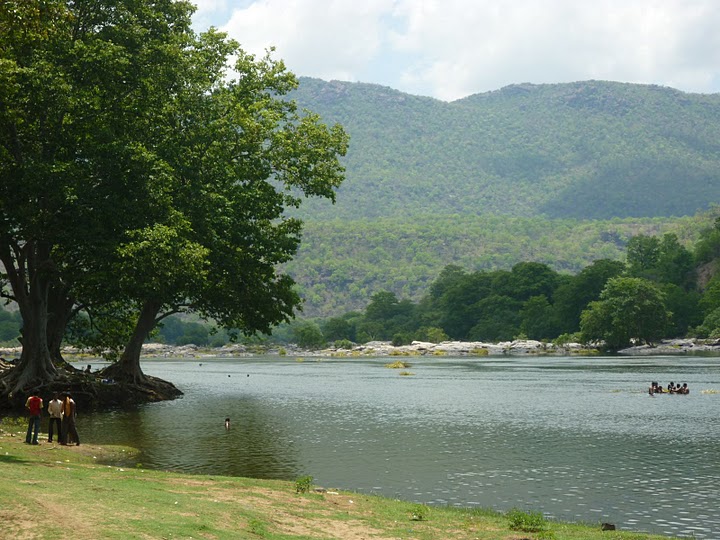 Baladi Yogesh's travel blogs: One day trip to "Muthathi forest"