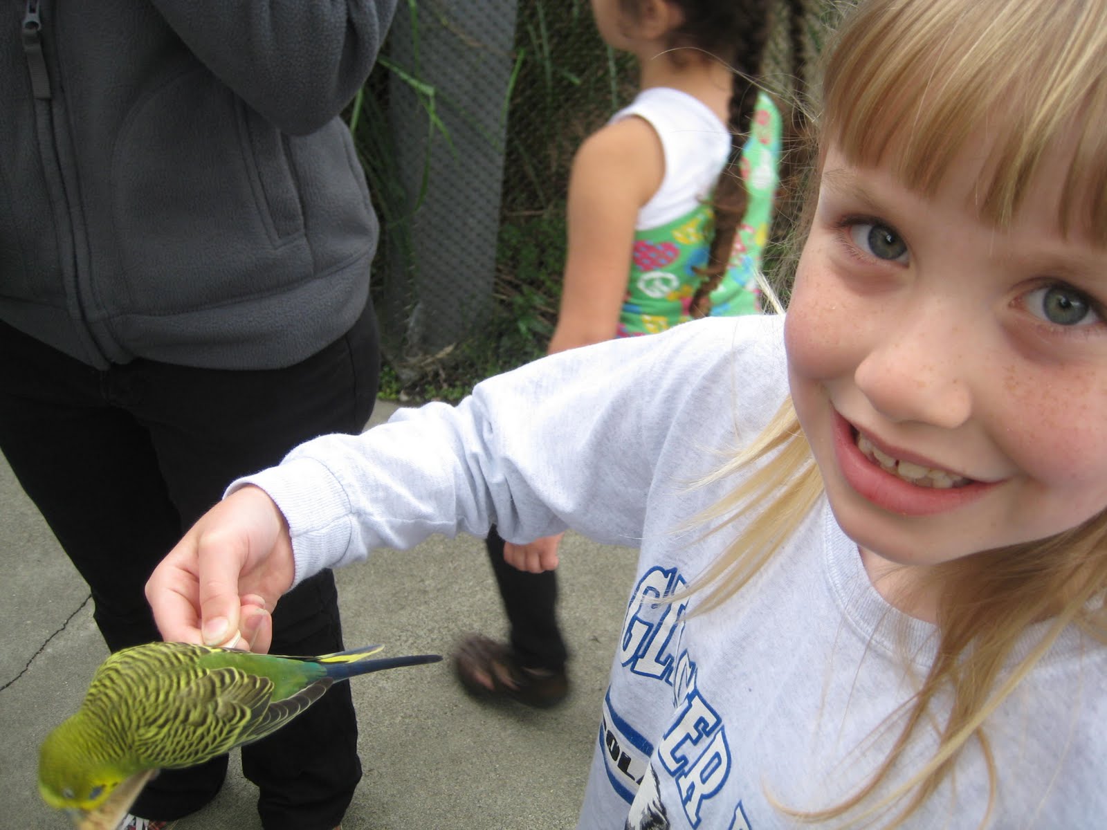 David and Shawna Z's Family