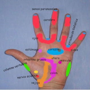 ESTRELLA ANA MARIA-SANACION: LOS ORGANOS EN LAS MANOS