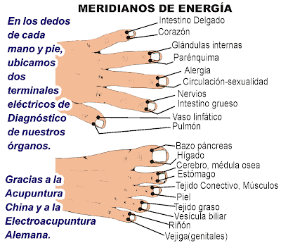 ESTRELLA ANA MARIA-SANACION: LOS ORGANOS EN LAS MANOS