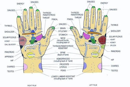 ESTRELLA ANA MARIA-SANACION: ORGANOS SITUADOS EN LAS MANOS.- PIES.-