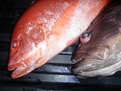 Lets fish! Feel it...: Drop off - keratang