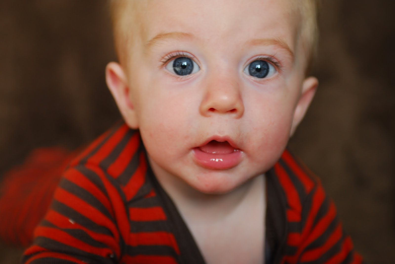 Lindsey Thaxton Photography: 6 months old and Loving Every Minute!