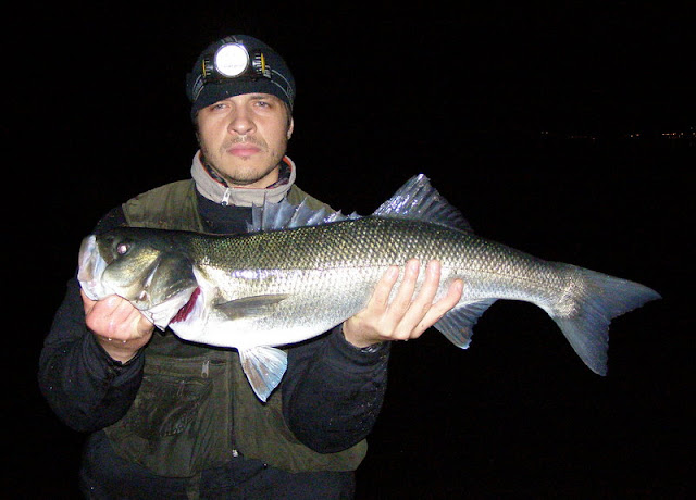 Wędkarskie przygody Tomaszka: Labraks 78 cm