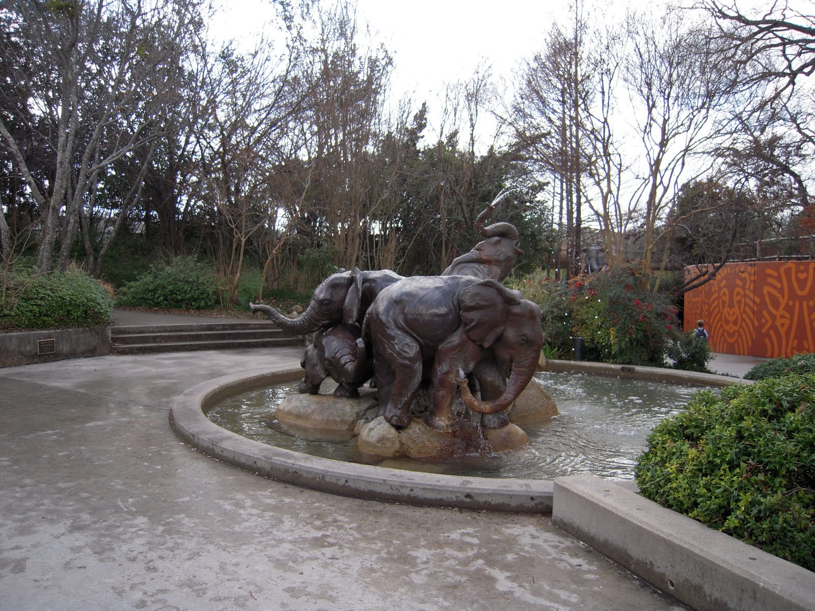 Word Splash - Joanne Faries: Penguin Days with Flamingos