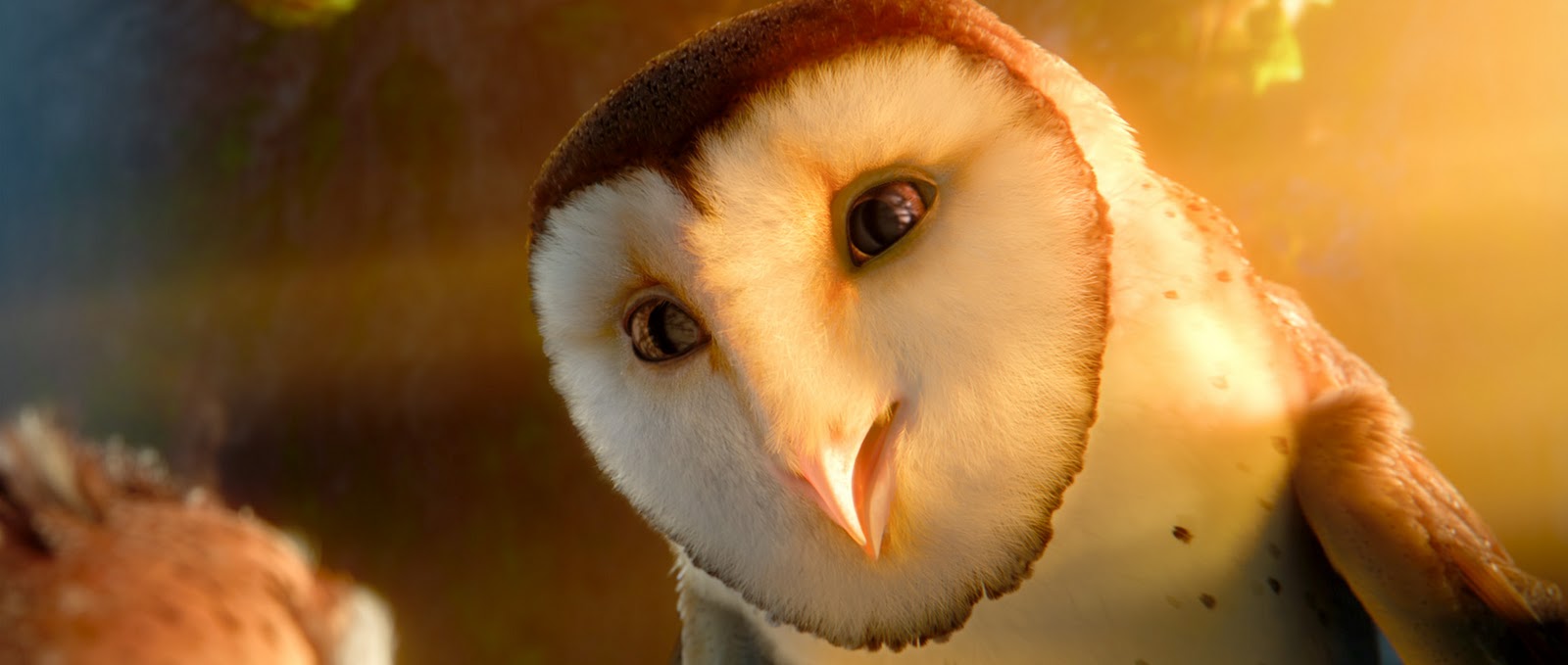 El viaje de Alex Ortoll al mundo de Ga’Hoole - ChecaLAMovie