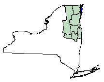 Access to DEC Region 5 Forestry and Wildlife Info - - The Adirondack ...