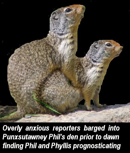 Jimmy's Journal: Punxsutawney Phil Predicts An Early Spring