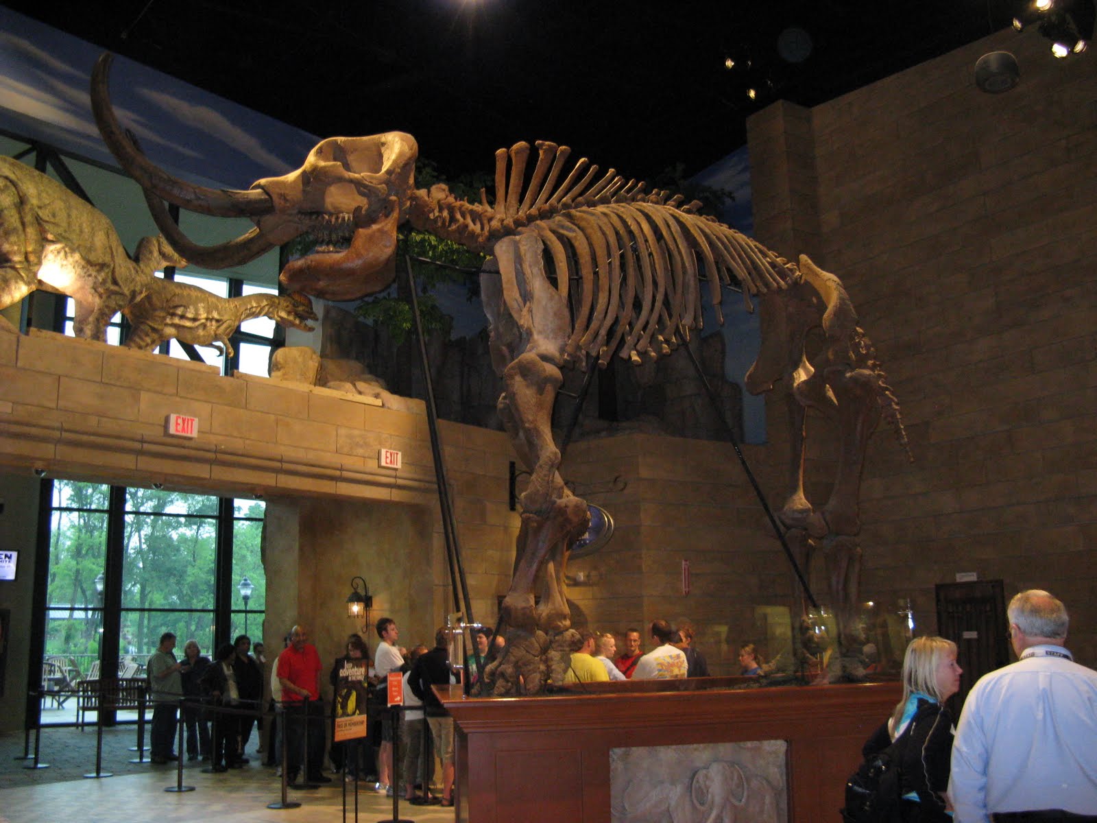 Cranberry Tea Time: The Creation Museum