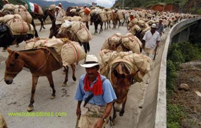 DiARio dE PrOCesOs....: 11 dE AgOsTo... InDepEnDenCiA De AnTiOqUiA