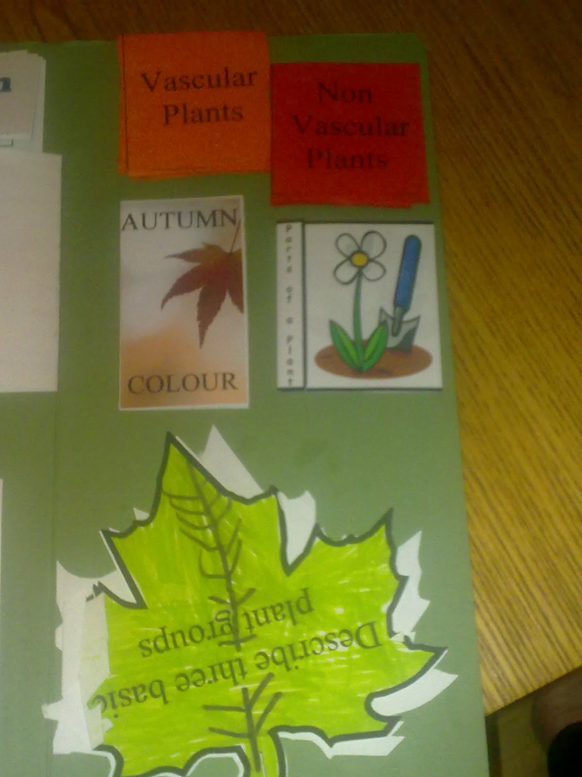 Freestyle Learning: Flower Lapbook