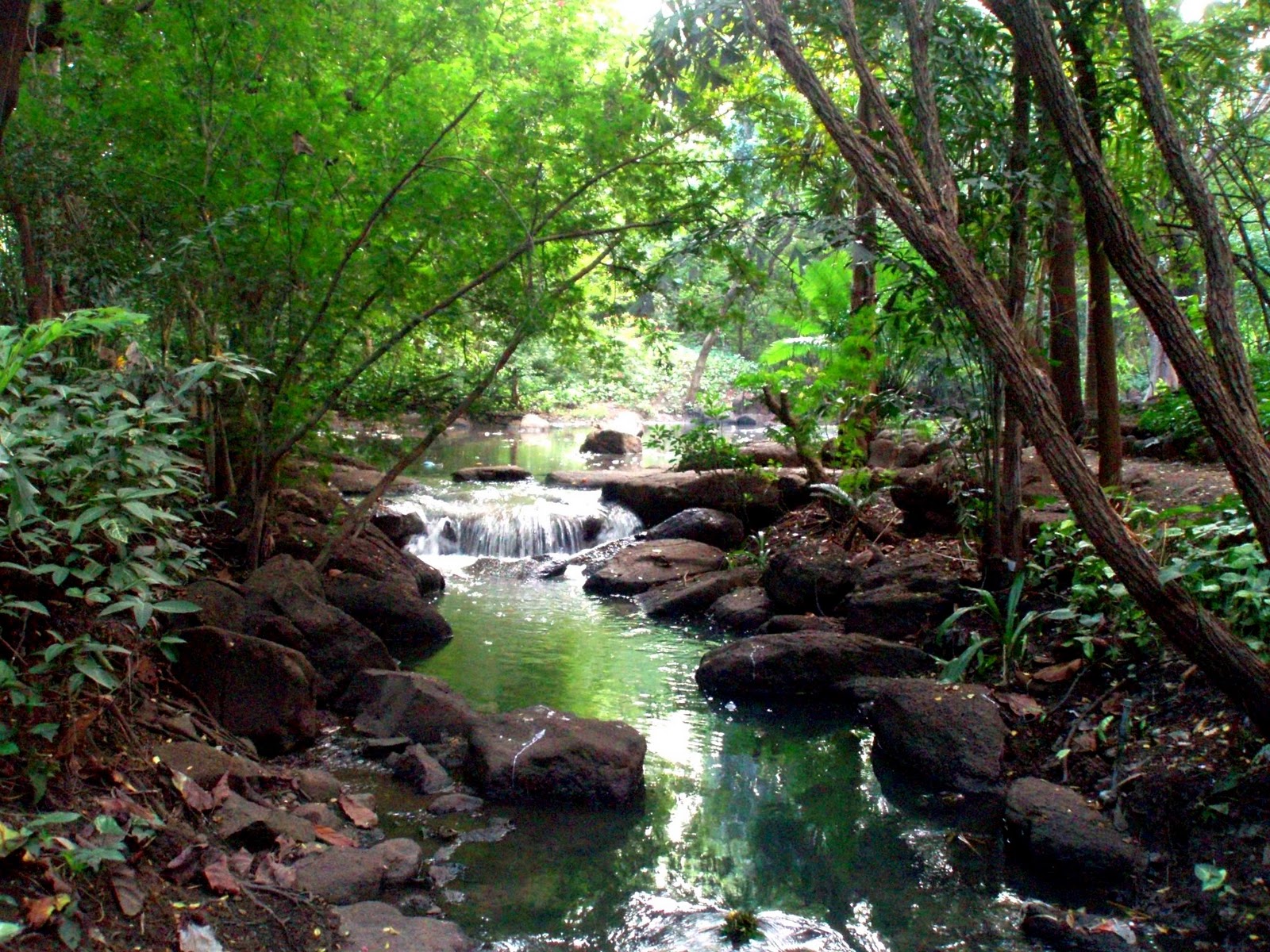 Travelz Unlimited: Osho Teerth Park , Pune : A Photo Feature | Photo ...