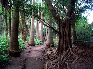 Travelz Unlimited: Osho Teerth Park , Pune : A Photo Feature