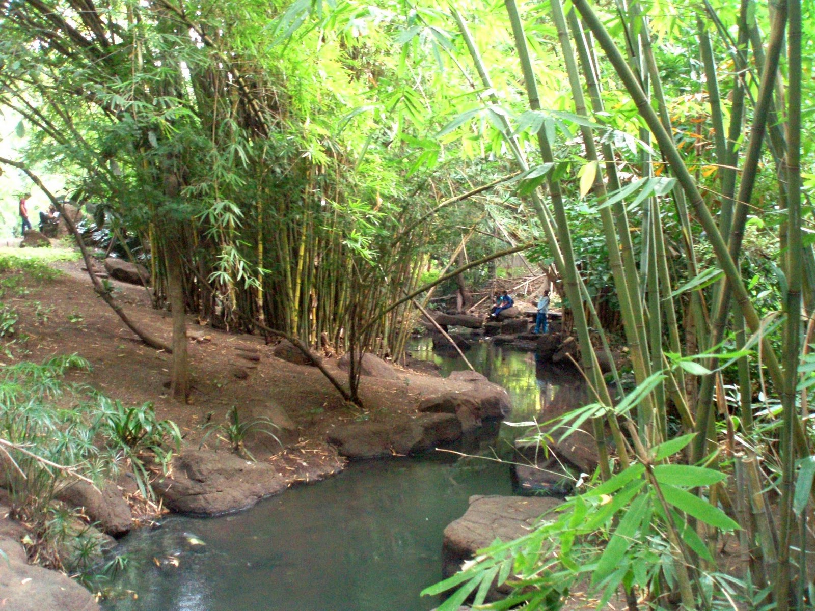 Travelz Unlimited: Osho Teerth Park , Pune : A Photo Feature