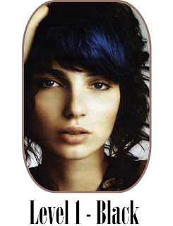 Become a Crib Colorist : Learn the Level System of Hair Color ...