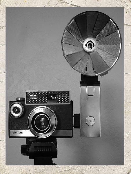 Salina Gurung: History of Modern Photography (Modernism)