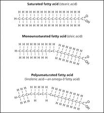 Awakening health: Go loco for coconut