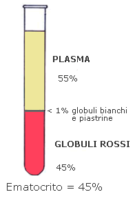 Ematocrito, Emoglobina, Ferritina | MTB80 Blog delle ruote Grasse