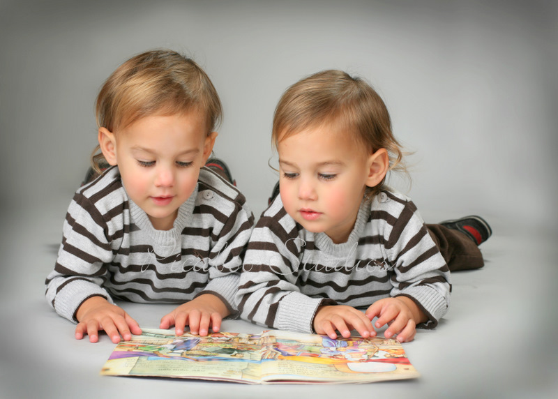 Picaboo Studios: 2010