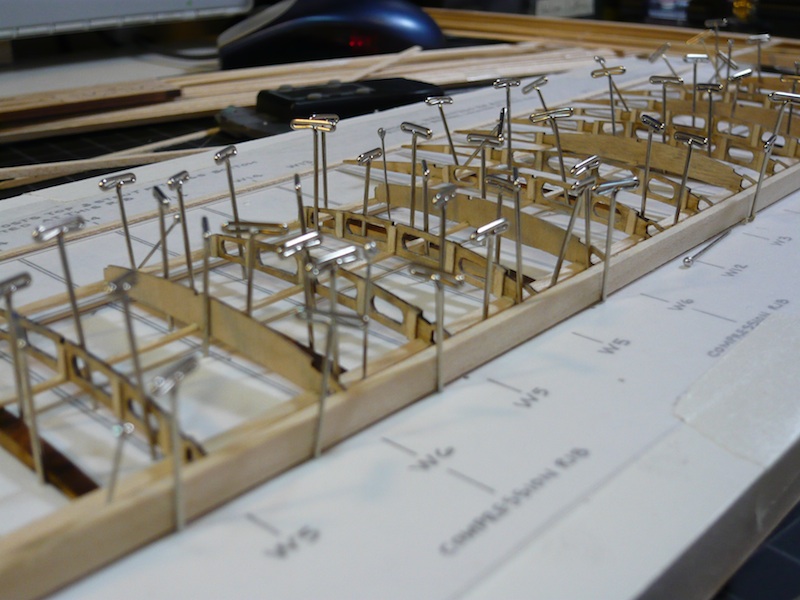 Nathan's Super Model Bonanza!: Curtis Jenny Progress