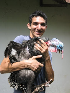 En carreta y chillando: Más delicado que una cría de chompipes