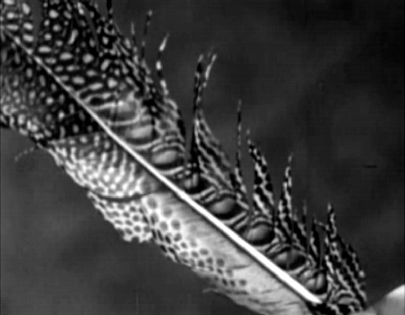 13: THE FLYING SERPENT / PRC - 1946