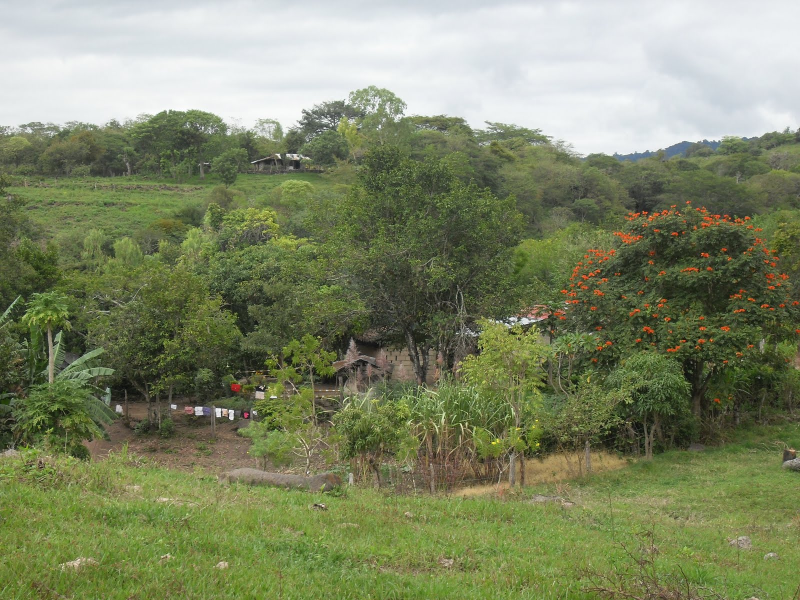 von unterwegs: Wo 38 - Estelí & Reserve Natural "Miraflor"