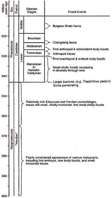 Rapid Uplift: Cambrian Explosion: This Time Its The Calcium That Did It