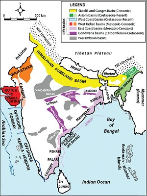 Rapid Uplift: Fossils In Amber From Eocene Cambay Basin India