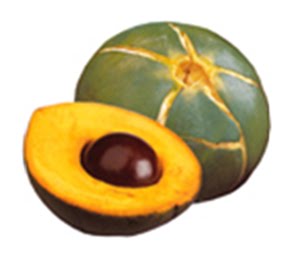 LUCUMA: LUCUMA