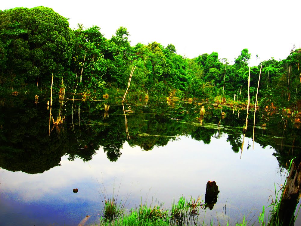 BACKPACKER'S DIARY: BALAIRAJA, Duri, Riau, Sumatera, Indonesia