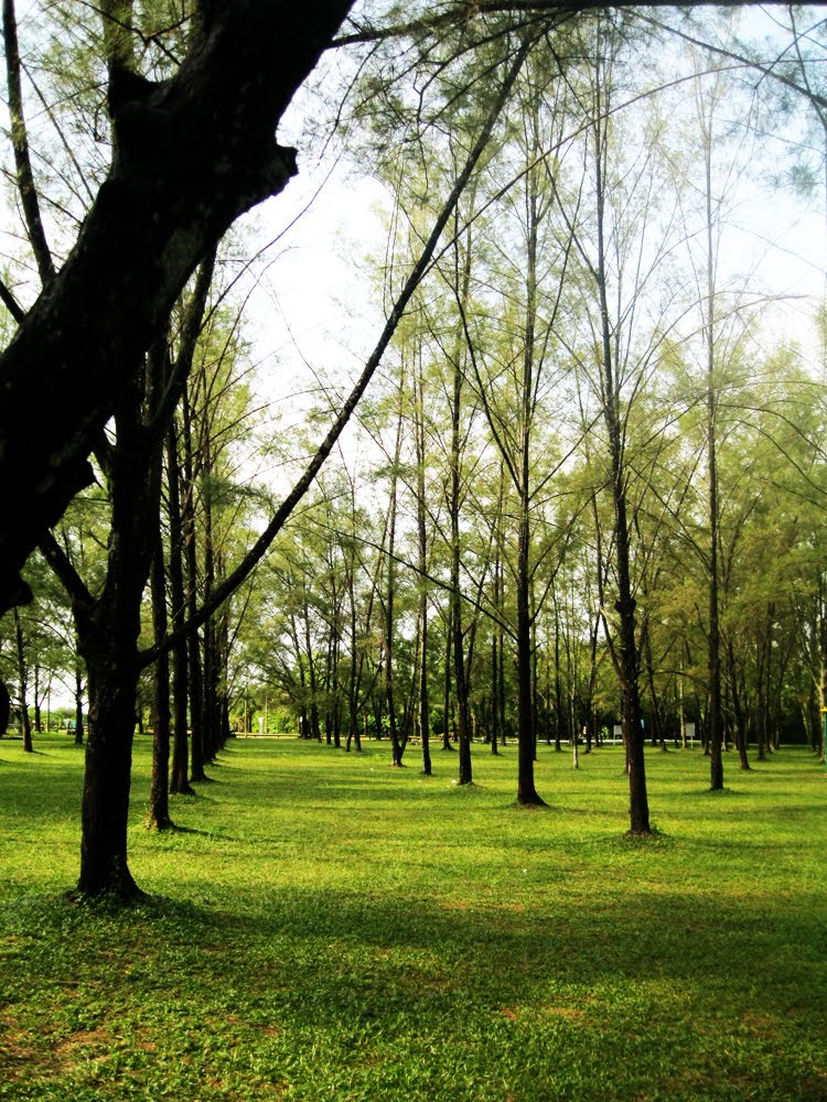 BACKPACKER'S DIARY: KASUARINA PARK, Chevron Camp, Duri, Riau, Indonesia