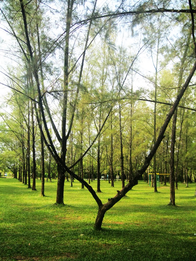 BACKPACKER'S DIARY: KASUARINA PARK, Chevron Camp, Duri, Riau, Indonesia