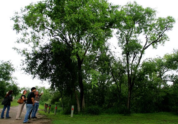 Life through the Lens: McAllen Nature Center