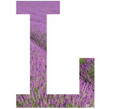 New Life: Capital L for Life