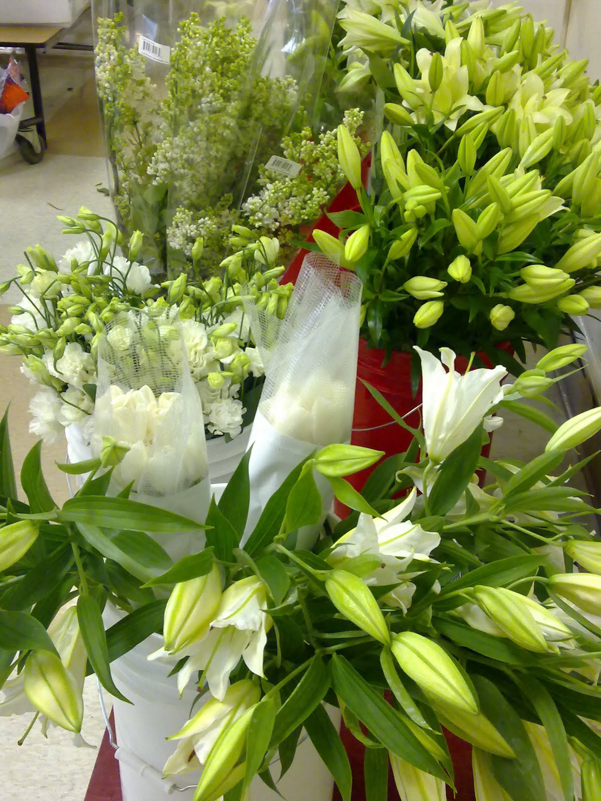 Whitehaven: Easter Flower Frenzy!