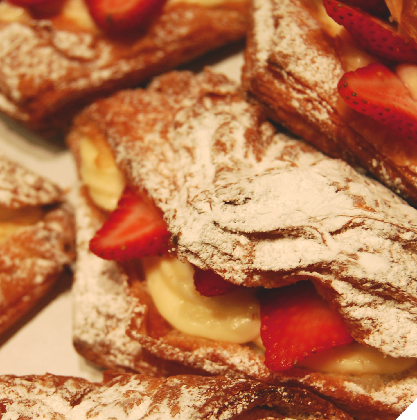 TNT ADVENTURES: Cream Pan - Tustin