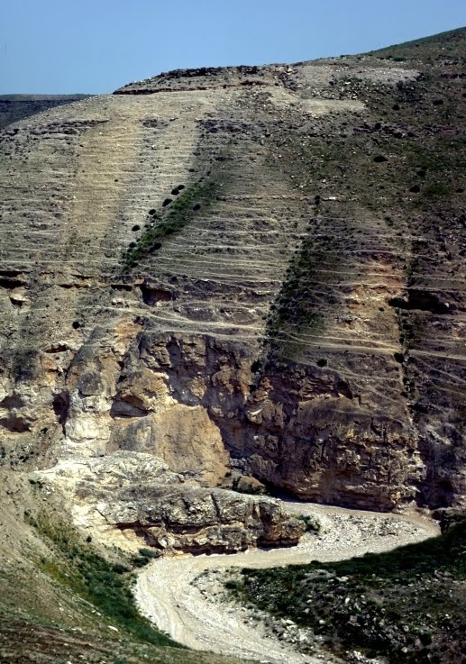 Blog Archives - coolzfil