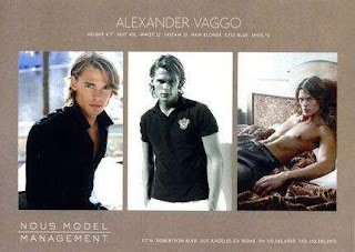 Swedish Crush: December 2007