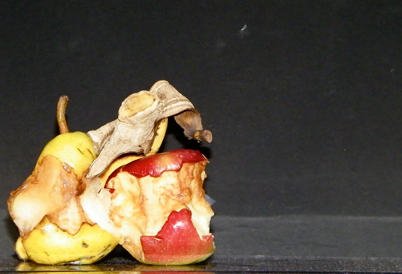 corinnehalpern;design-OD: inspirations (the beautiful art of rotting fruit)