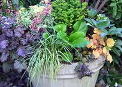 Woodbridge Greenhouses Blogger: Perennial Container Gardening