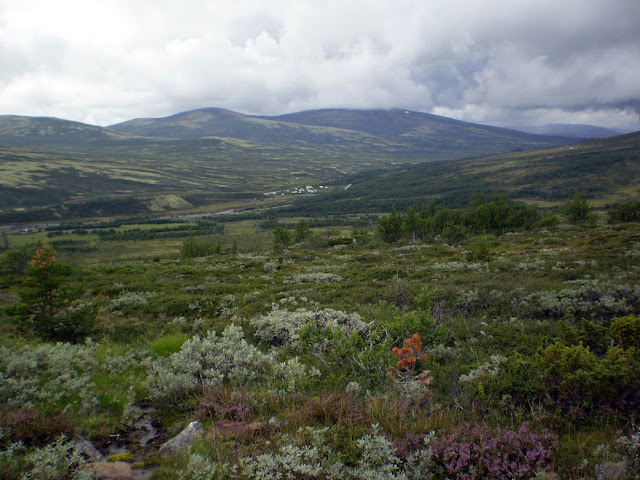 DER VILLMARKA SUSER: EINUNNDALEN